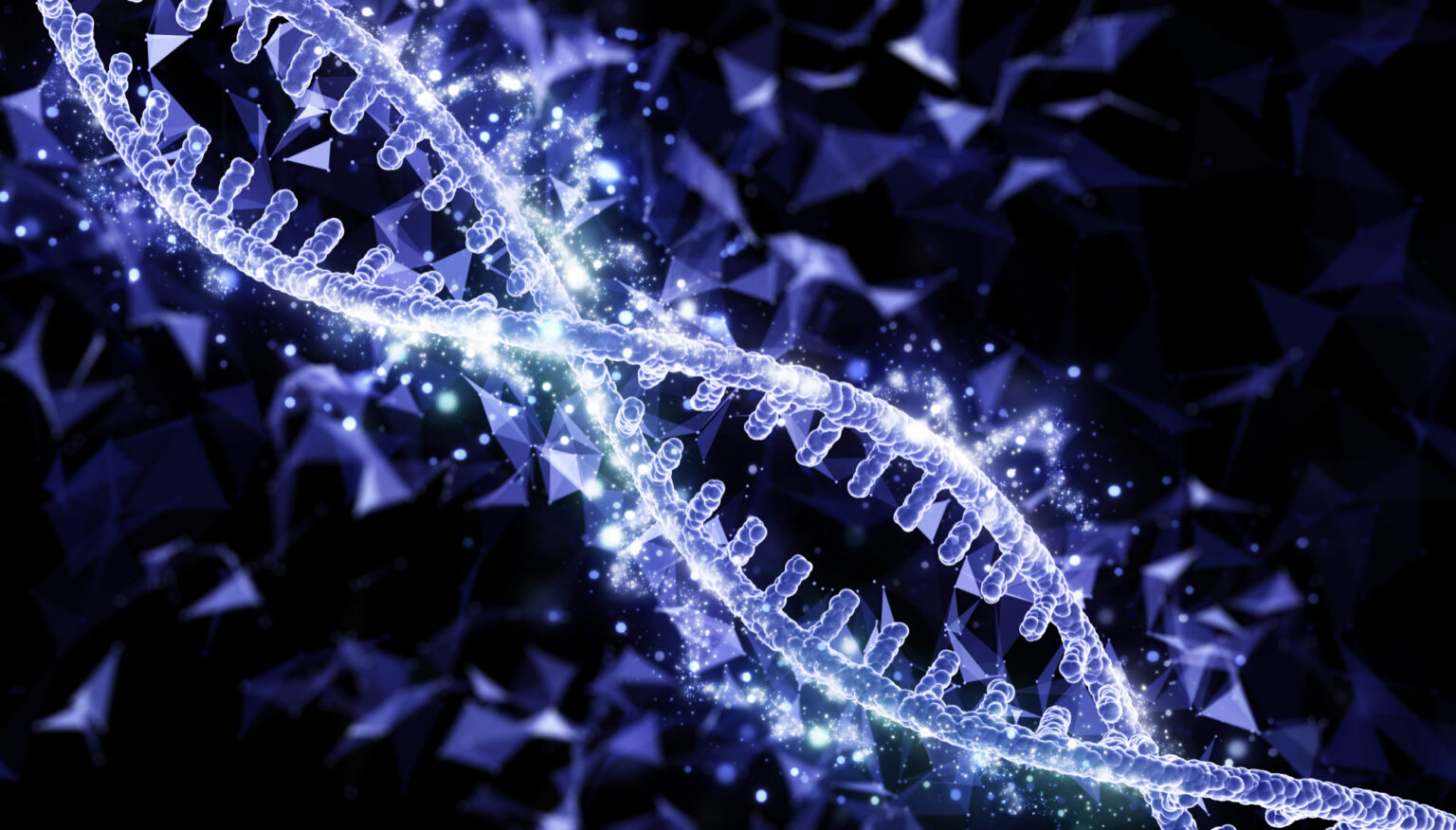 Fragile X Syndrome: From Genetics to Lifelong Support | InheriNext by ...